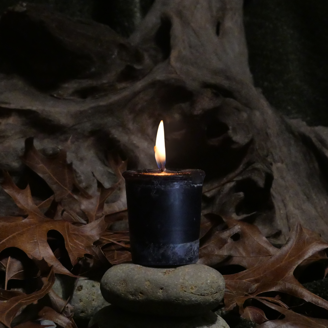 Herbal Magic Protection Votive Candle – Gryphon's Moon